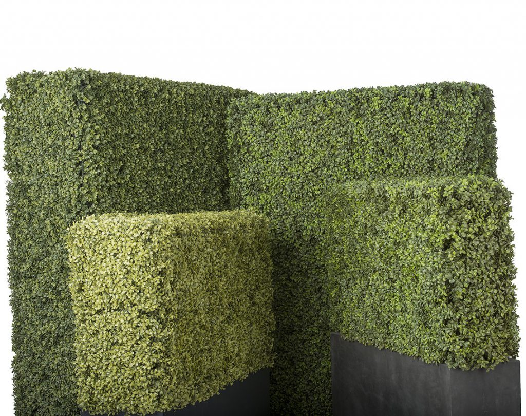 Ready-made Hedges – Atlas Pots