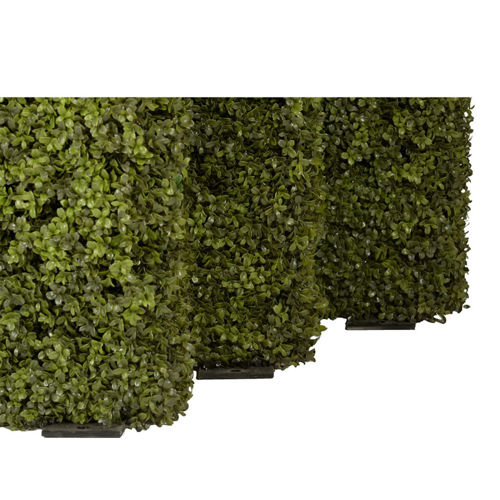 Boxwood Hedge Panels - Atlas Pots