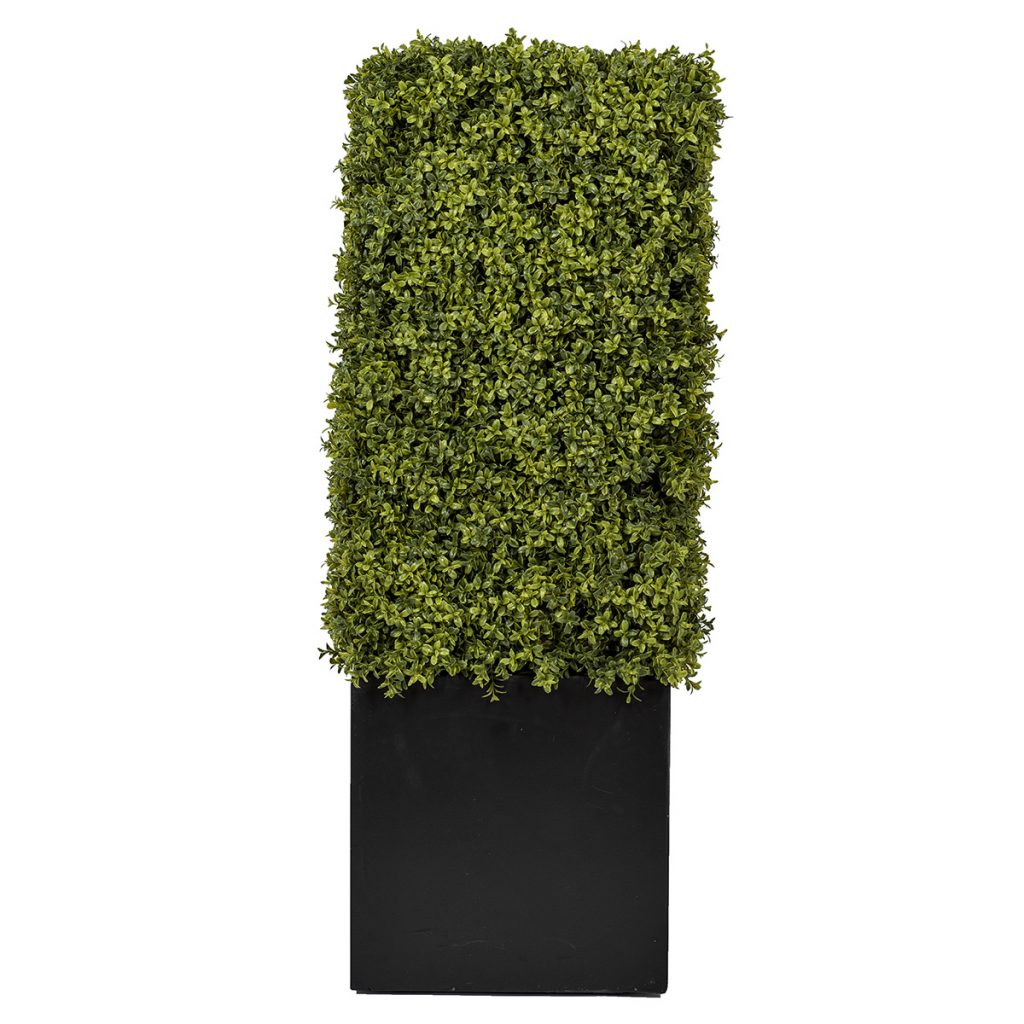 Boxwood Hedge Panels – Atlas Pots